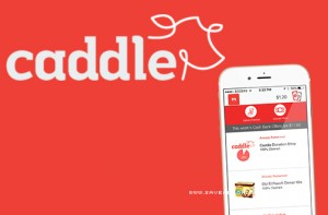 Caddle Cash Back Offers | Holiday Bonus — Deals from SaveaLoonie!