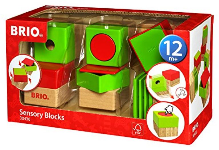 BRIO Sensory Blocks Preschool Toy — Deals from SaveaLoonie!
