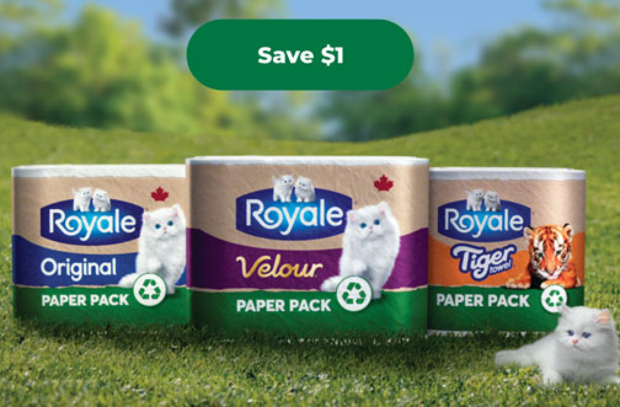 Royale Product Coupons | $1 off ANY Paper Pack — Deals from SaveaLoonie!